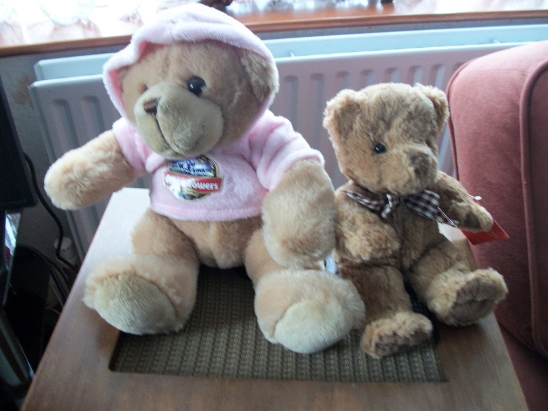 Alton Towers Teddy Bear Clipart