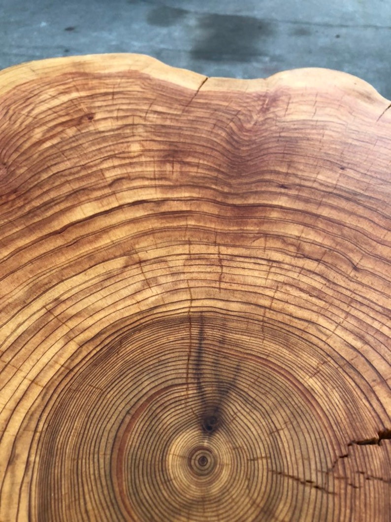 YOUR Custom Listing Live Edge Cedar Blossom Coffee Table | Etsy