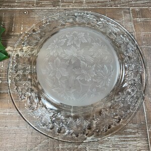 Six (6) Princess House 10” FANTASIA Dinner Plates - Floral With Frosted ...