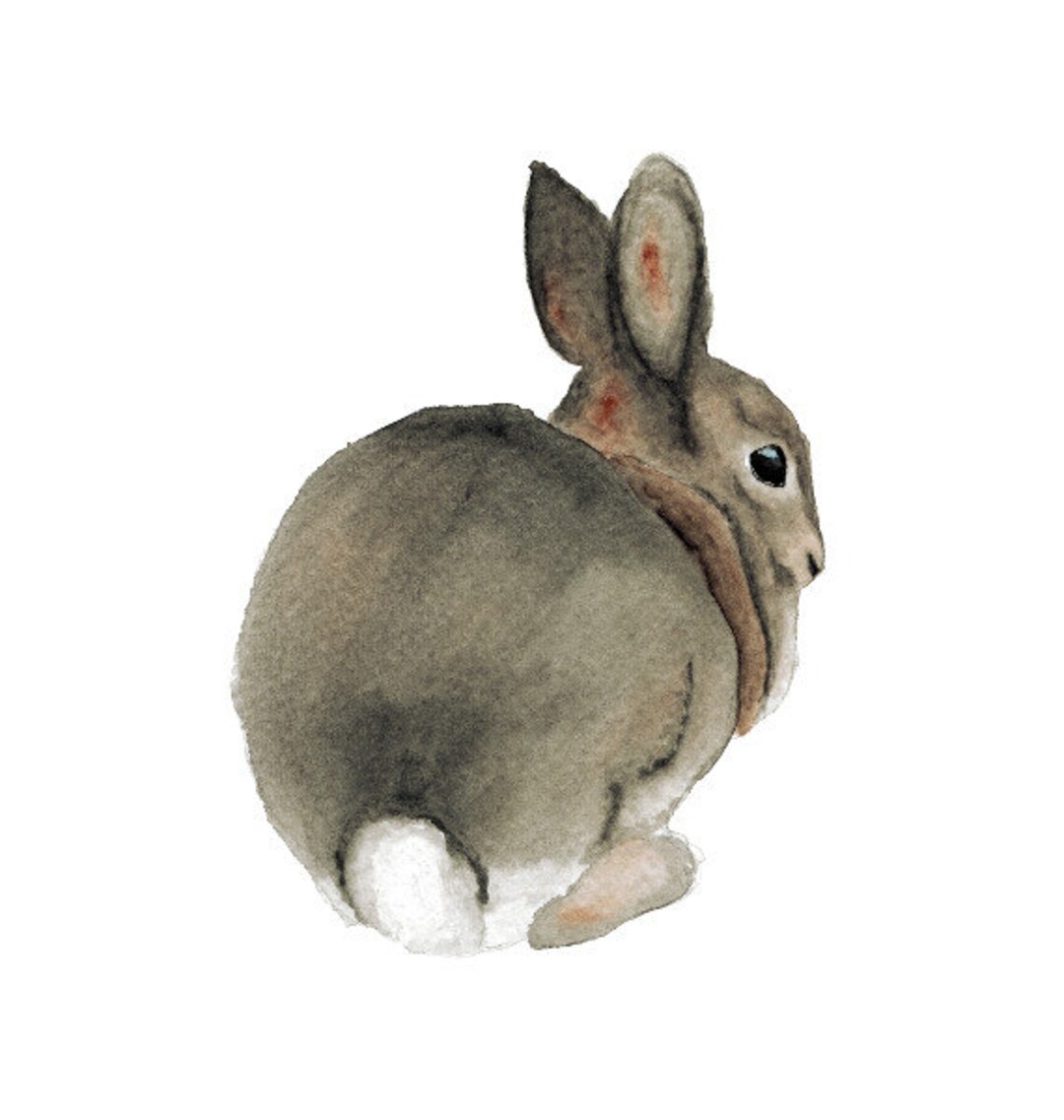 Little Cottontail- Digital Download Nursery Art Watercolor Bunny Rabbit ...