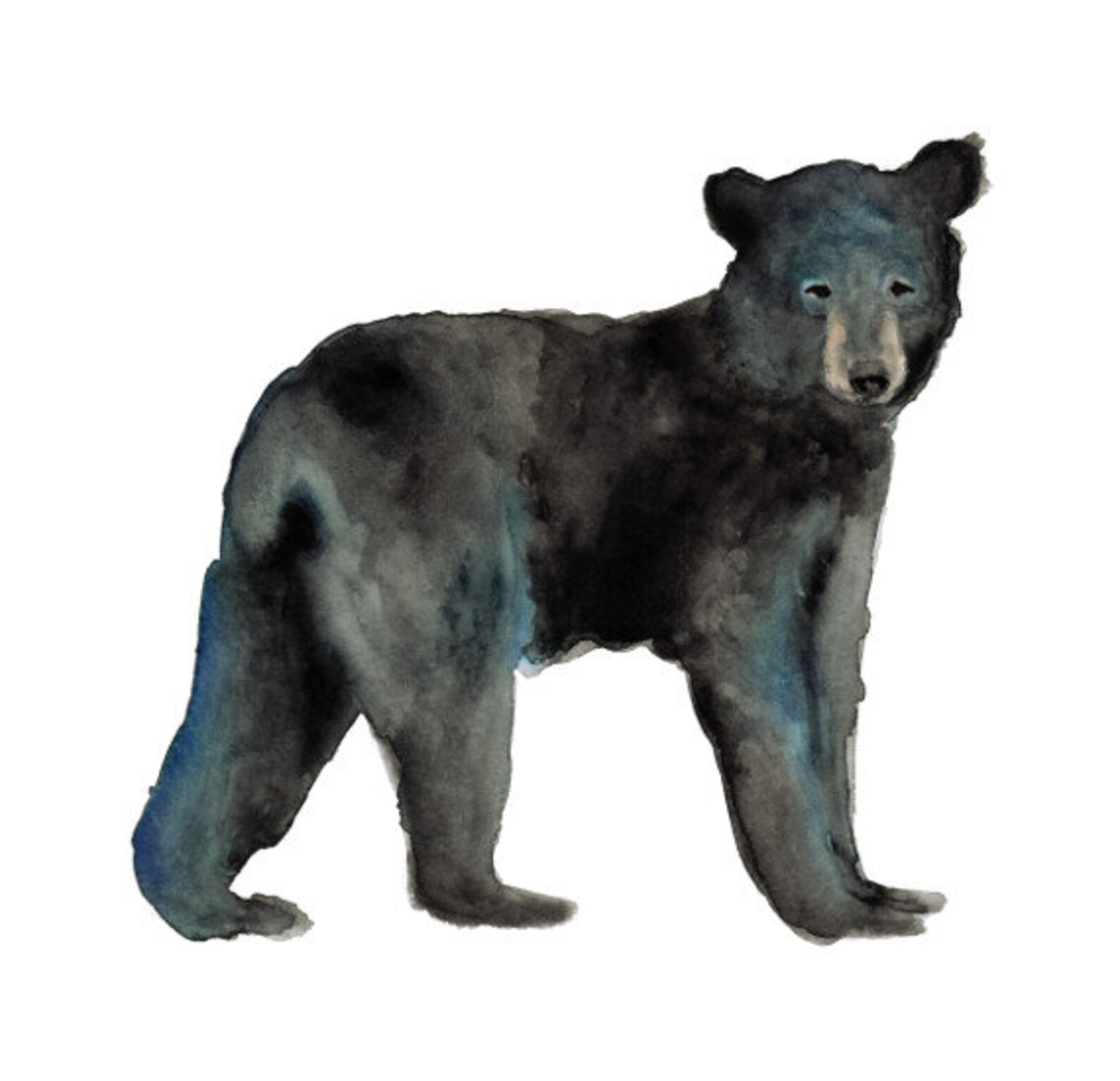 Little Black Bear Cub- Watercolor Bear Digital Download Nursery Art ...