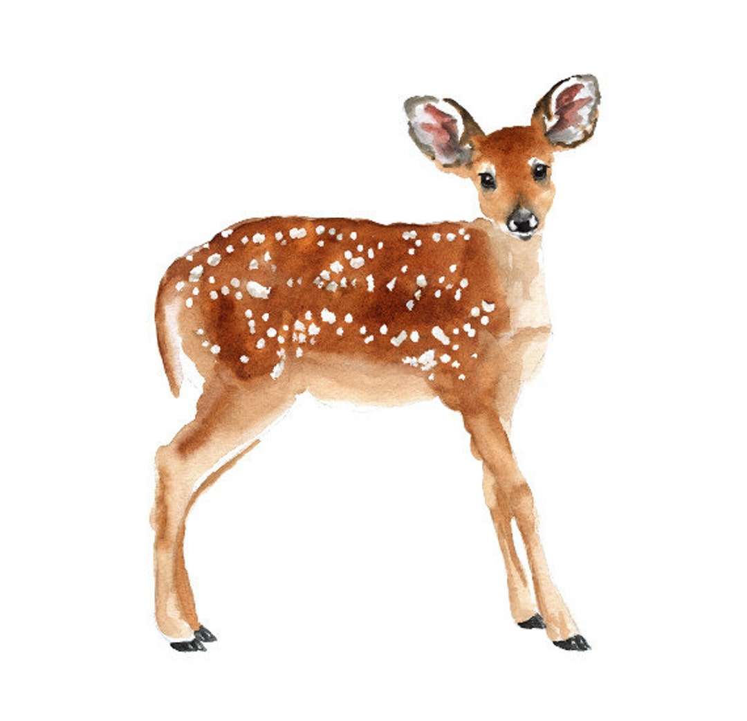 Watercolor Baby Deer 2- Digital Download Woodland Fawn Nursery Art Baby ...