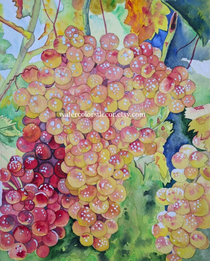 Water Color : Original Grapevine Watercolor Painting. Grape Painting ...