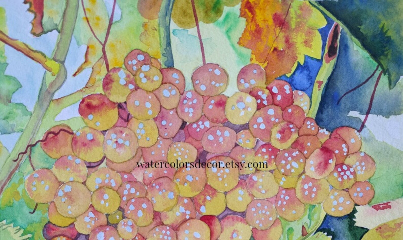 Water Color : Original Grapevine Watercolor Painting. Grape Painting ...