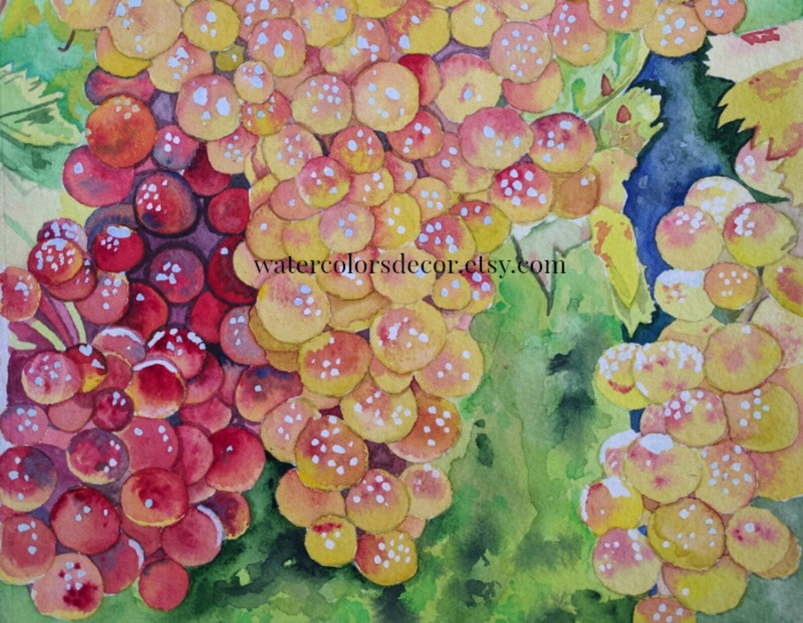 Water Color : Original Grapevine Watercolor Painting. Grape Painting ...