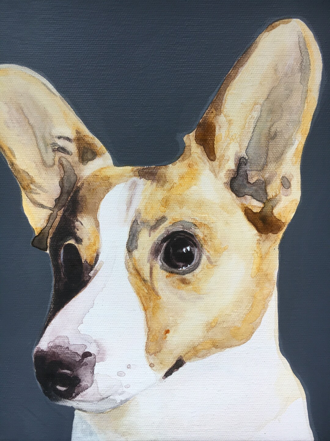 Frank - Original Cojack Dog Painting on Canvas - Etsy