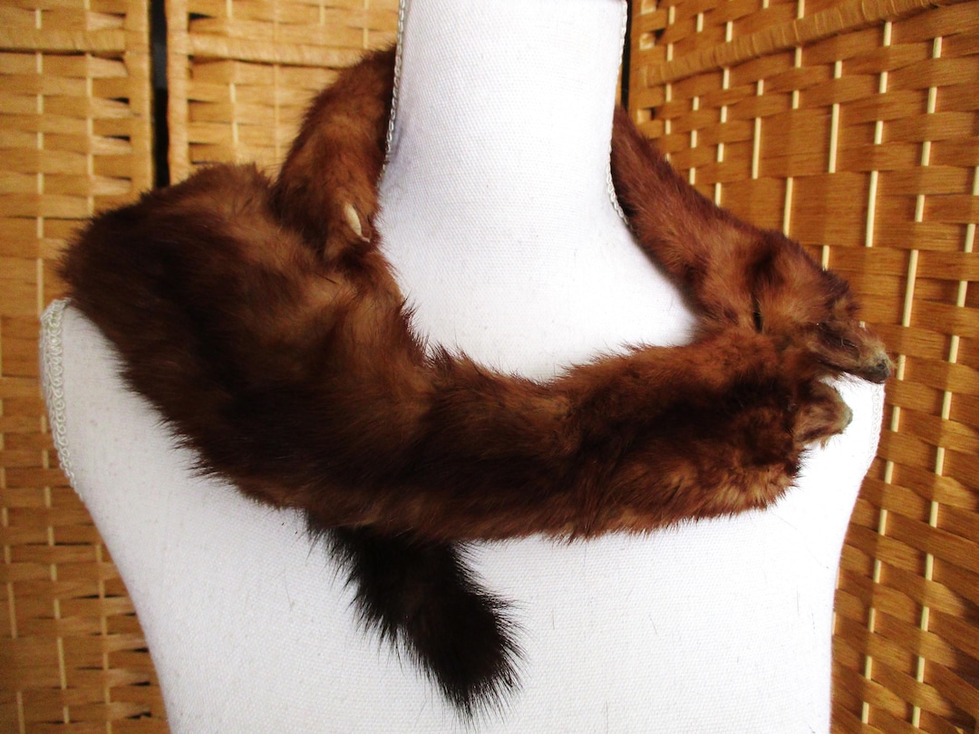 Hutzler Brothers 1940's Mink Pelt Scarf Taxidermy Accessory Vintage ...