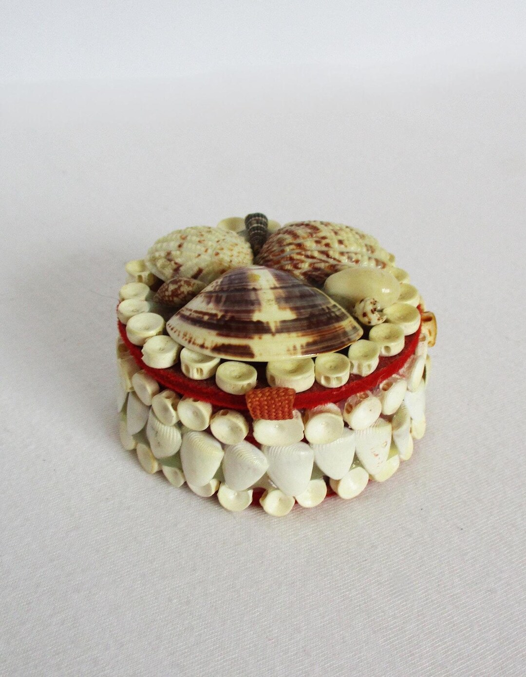 Seashell Box Hinged Lid Sea Shell Trinket Box Round Ring Box Vintage ...