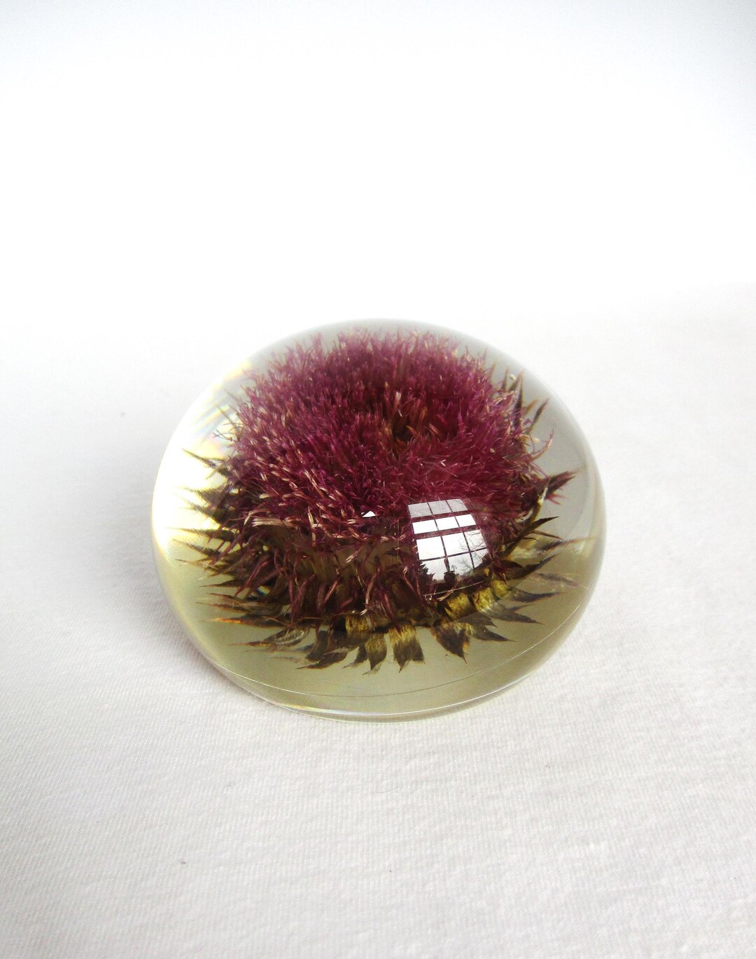 Tarax Infinity Paperweight Thistle Paperweight Artichoke Flower Vintage ...