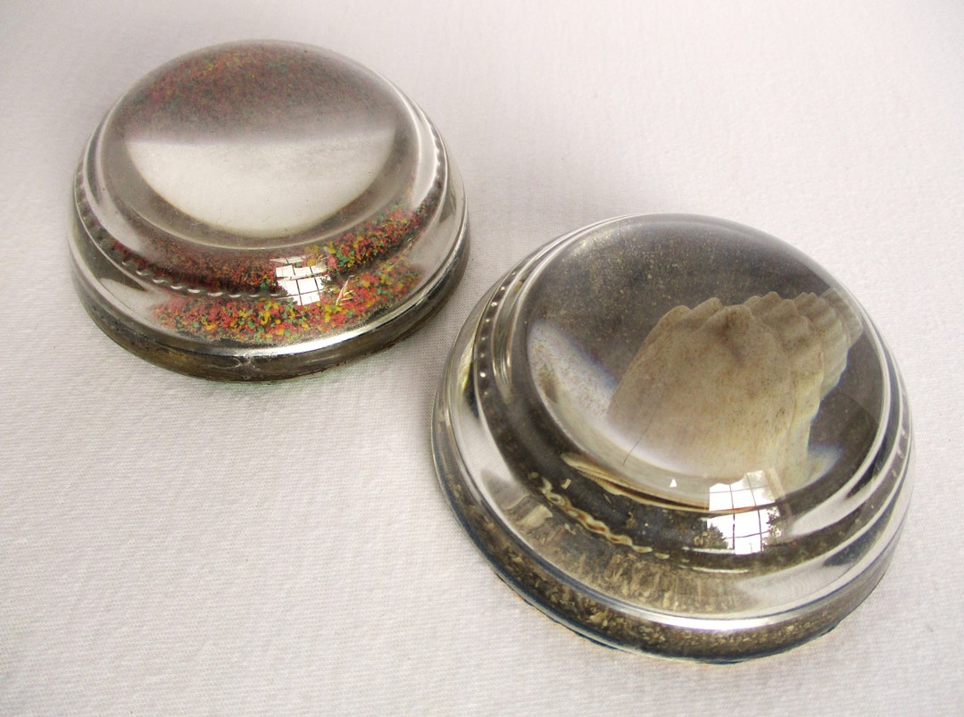 Seashell & Sand Vintage Glass Dome Paperweight Lot of 2 Nautical ...