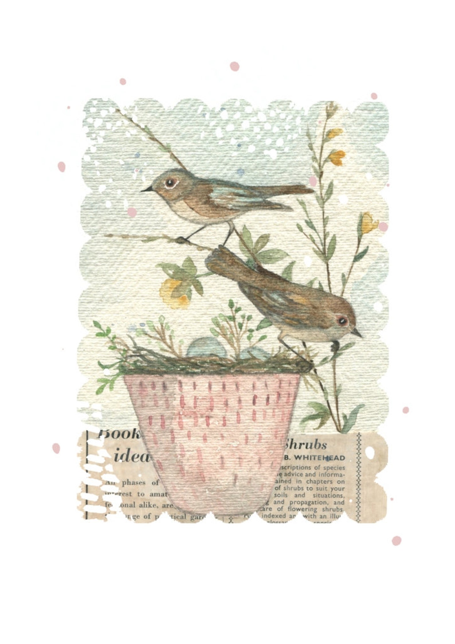 Nesting Art Print by Rachel Grant | Bird Art | A4 - Etsy