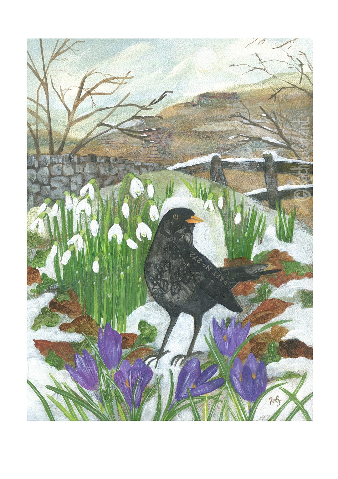 Glimmers Art Print by Rachel Grant | Bird Print | A4 - Etsy