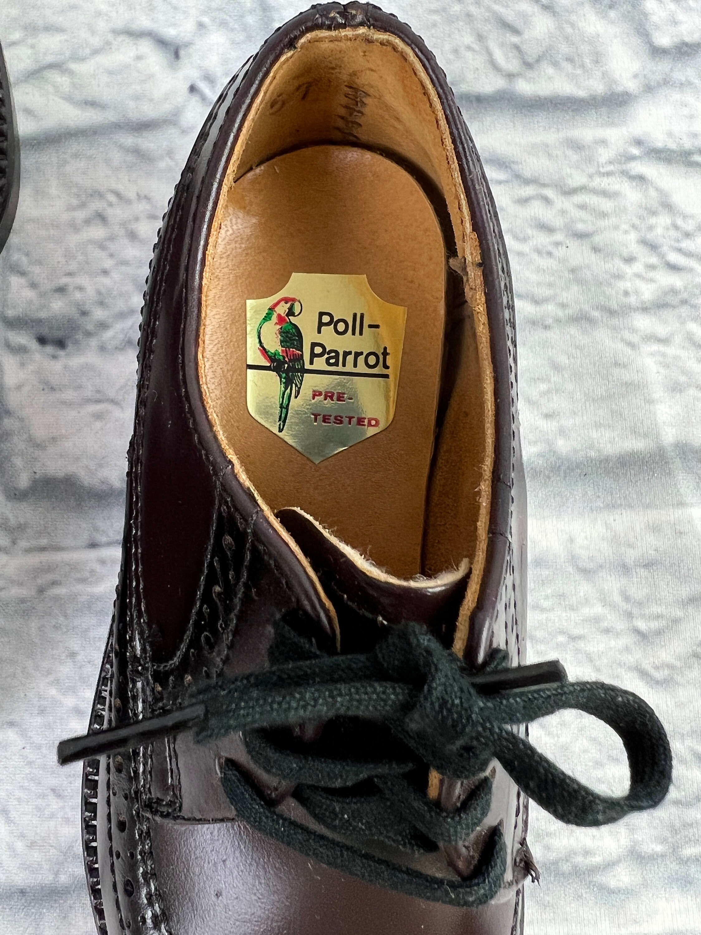 Paul Parrot Shoes