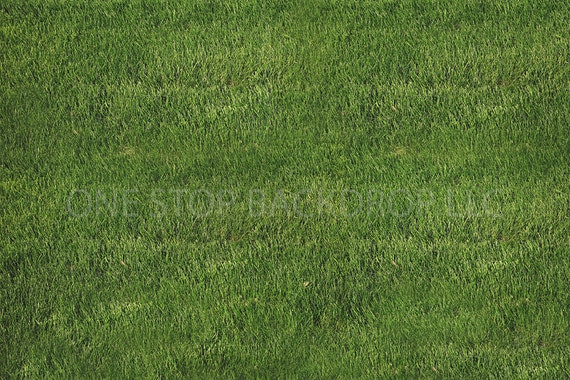 Grass Floor on Glare Free Vinyl 7' Wide by 5' Tall | Etsy