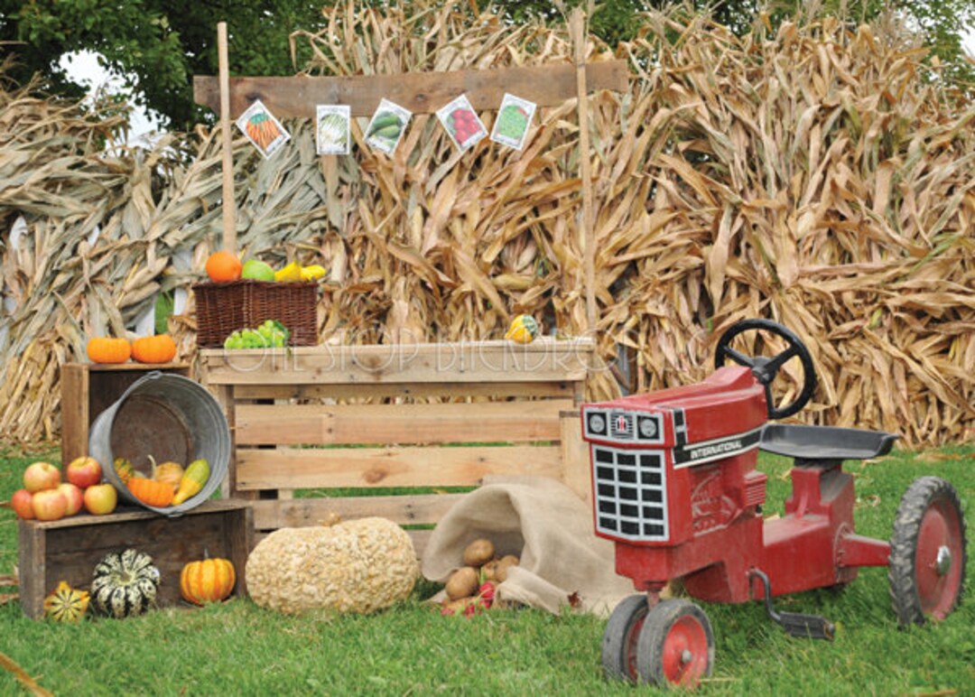 Autumn Harvest Stand Au0005 Backdrop Vinyl 7' Wide by 5' Tall. - Etsy