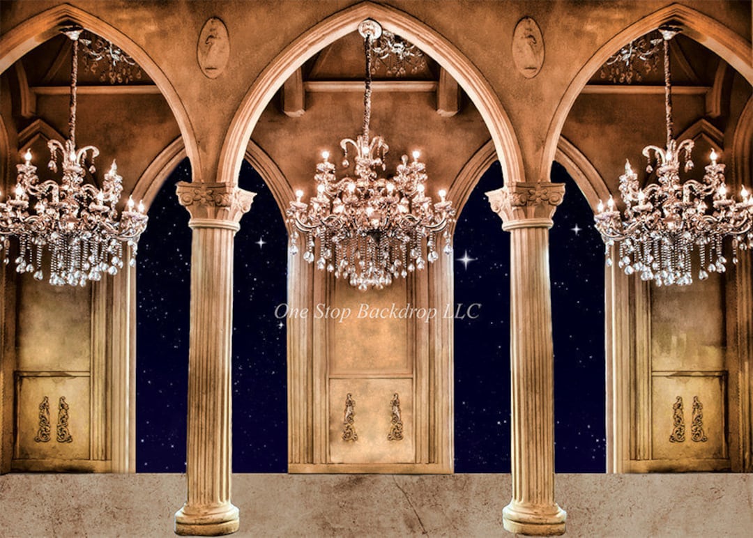 Princess Ballroom 8 Backdrop on Glare Free Vinyl 7' Wide by 5' Tall. - Etsy
