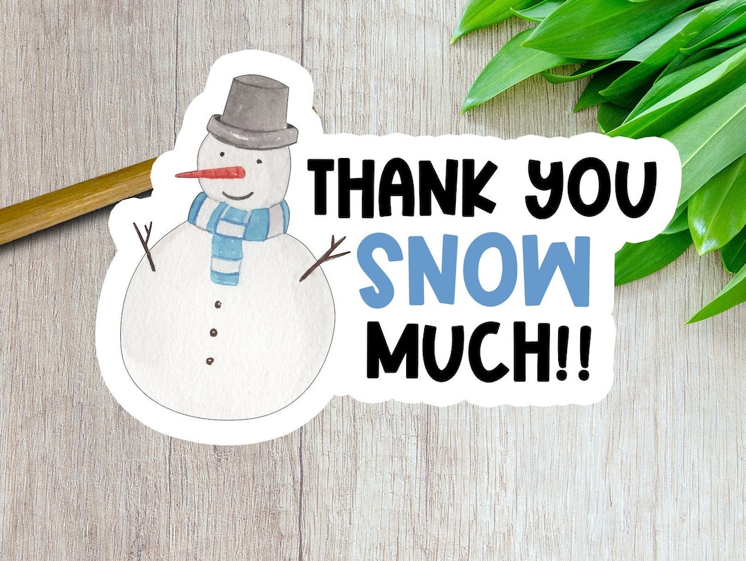 21 Thank You Snow Much Snowman STICKERS, Envelope Seals, Shopping Small ...