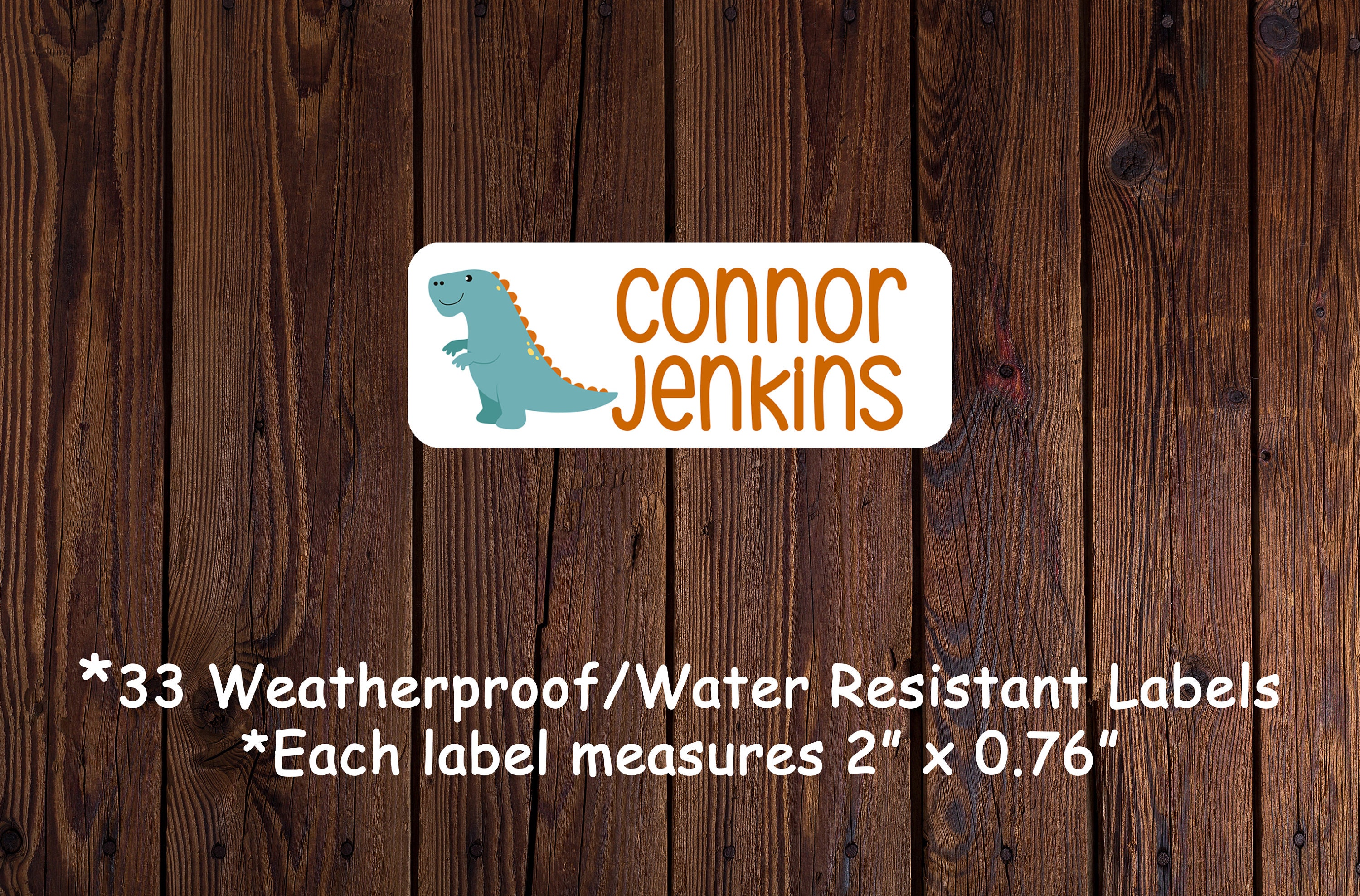 Dinosaur T-rex Name Label STICKERS School Supply Labels - Etsy