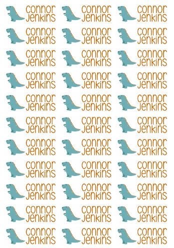 Dinosaur T-rex Name Label STICKERS School Supply Labels - Etsy