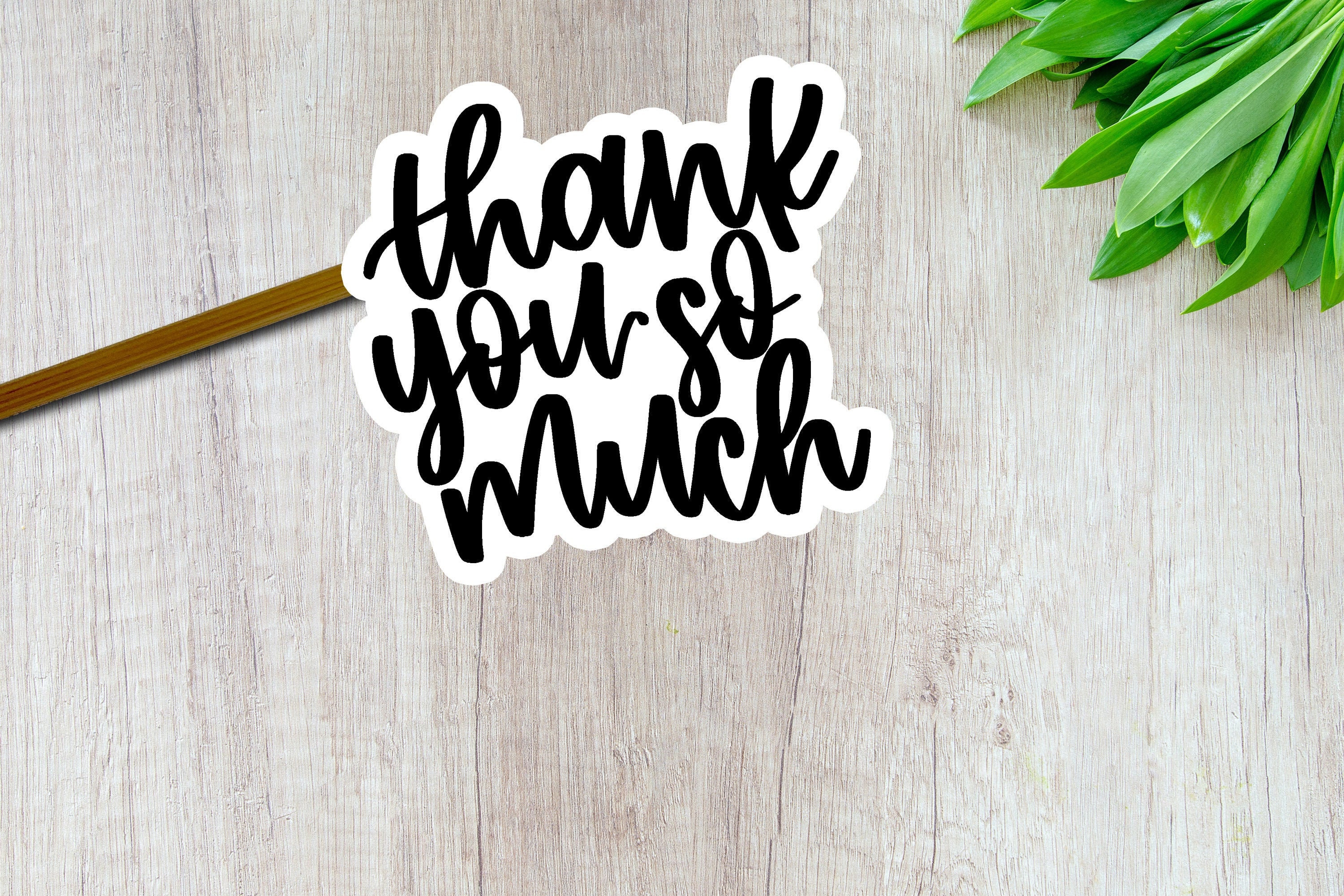 20 Thank You so Much Stickers Thank You Order Stickers | Etsy