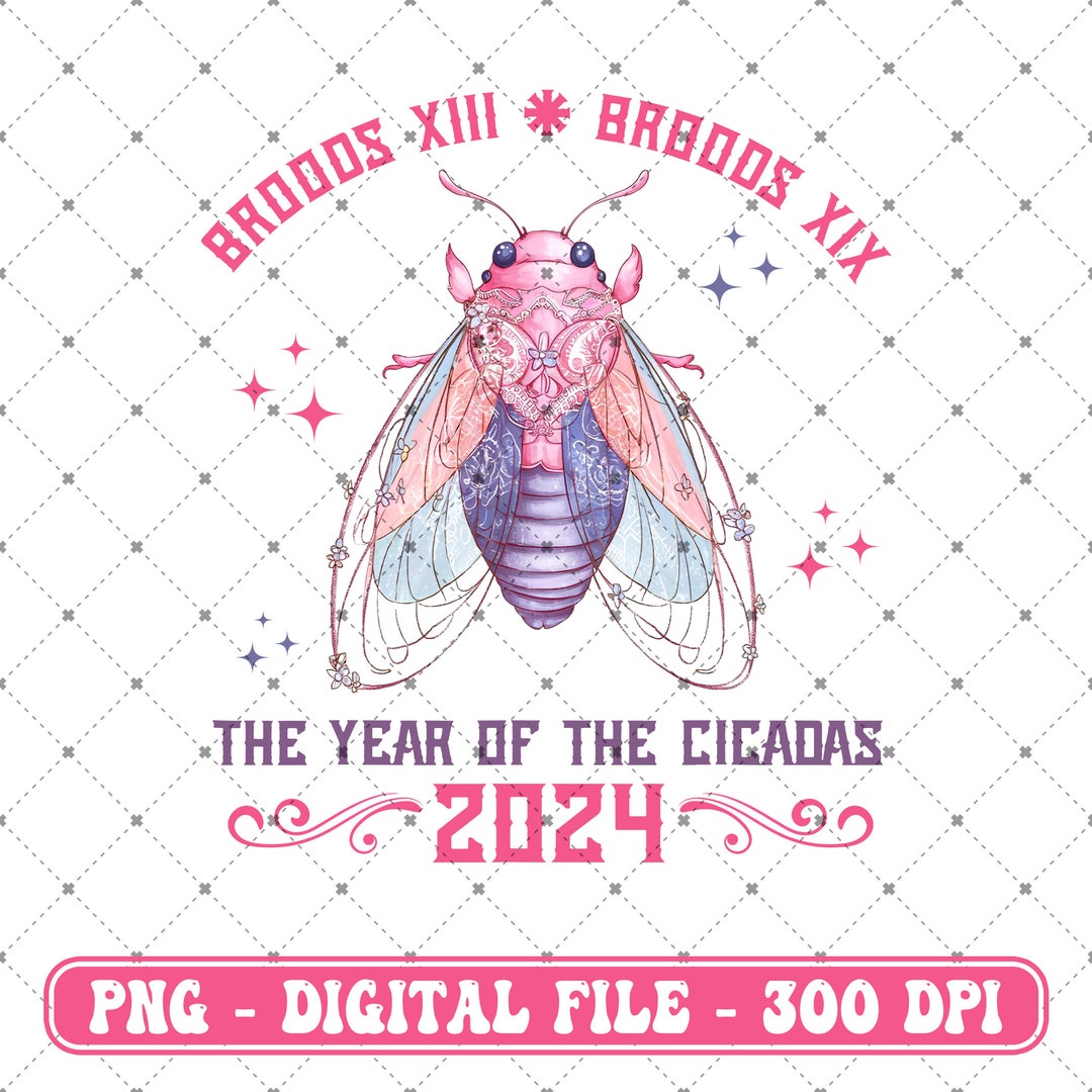 Year of the Cicada 2024 Png, Cicada 2024 Png, the Cicadas Reunion Tour Summer 2024, Cicada ...
