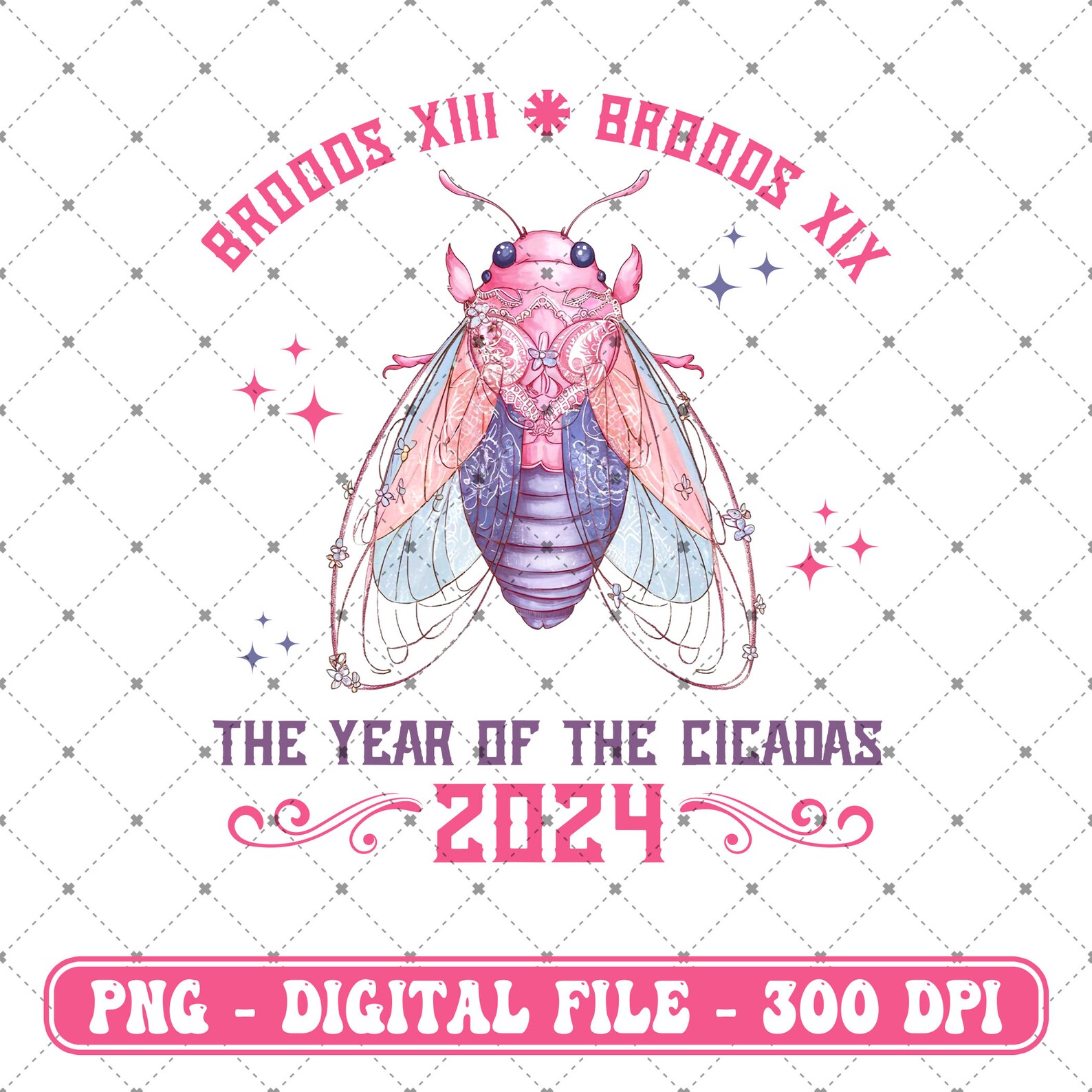 Year of the Cicada 2024 Png, Cicada 2024 Png, the Cicadas Reunion Tour Summer 2024, Cicada ...