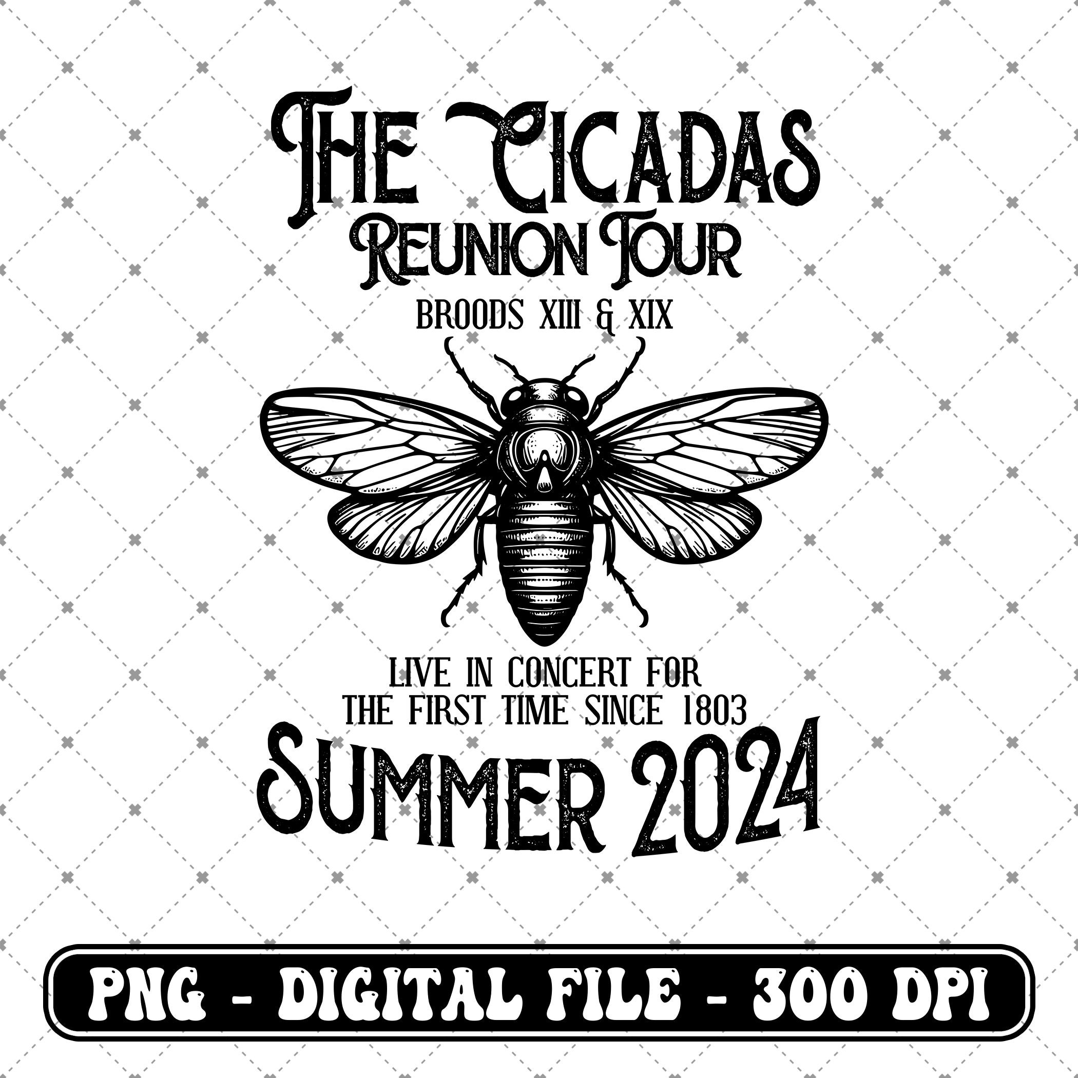 Cicada 2024 PNG, the Cicadas Reunion Tour Summer 2024 Digital Download ...