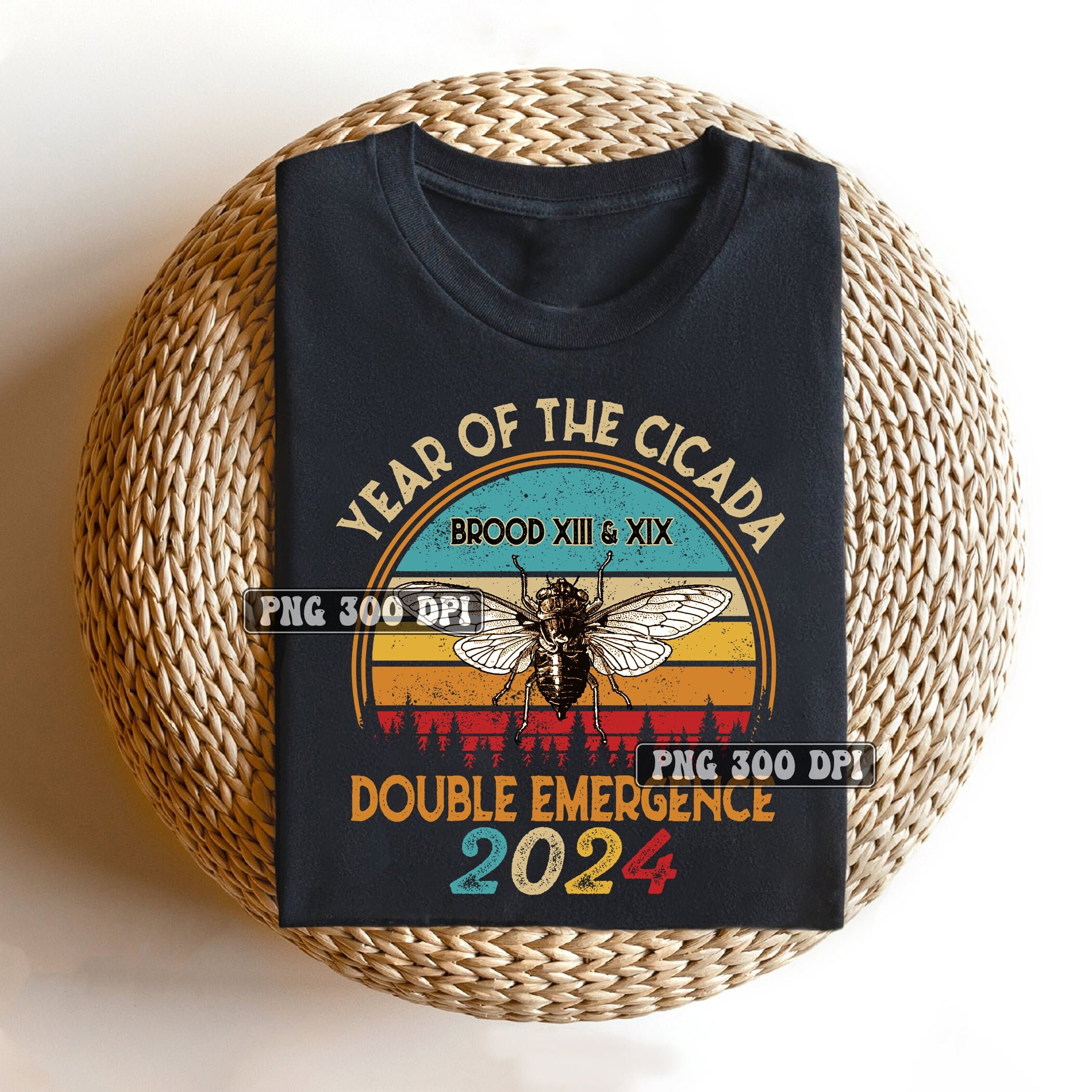 Year of the Cicada 2024 Png, Cicada 2024 Png, the Cicadas Reunion Tour ...