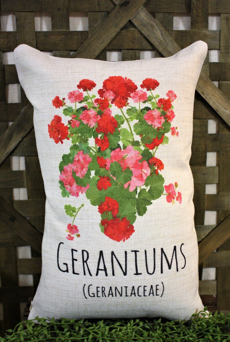 Geranium Pillow Geranium Decor Geraniums Spring Pillow | Etsy