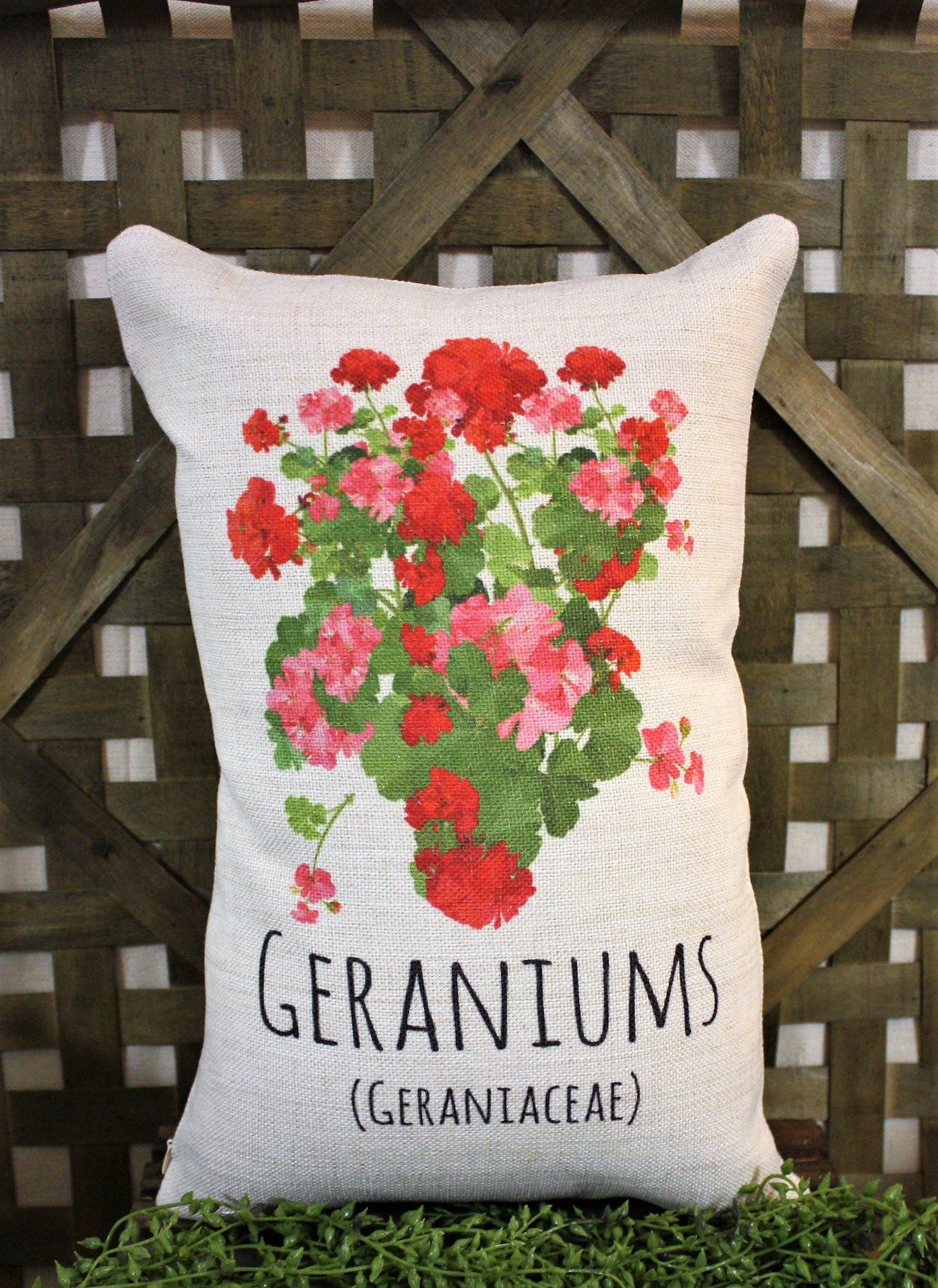 Geranium Pillow Geranium Decor Geraniums Spring Pillow | Etsy