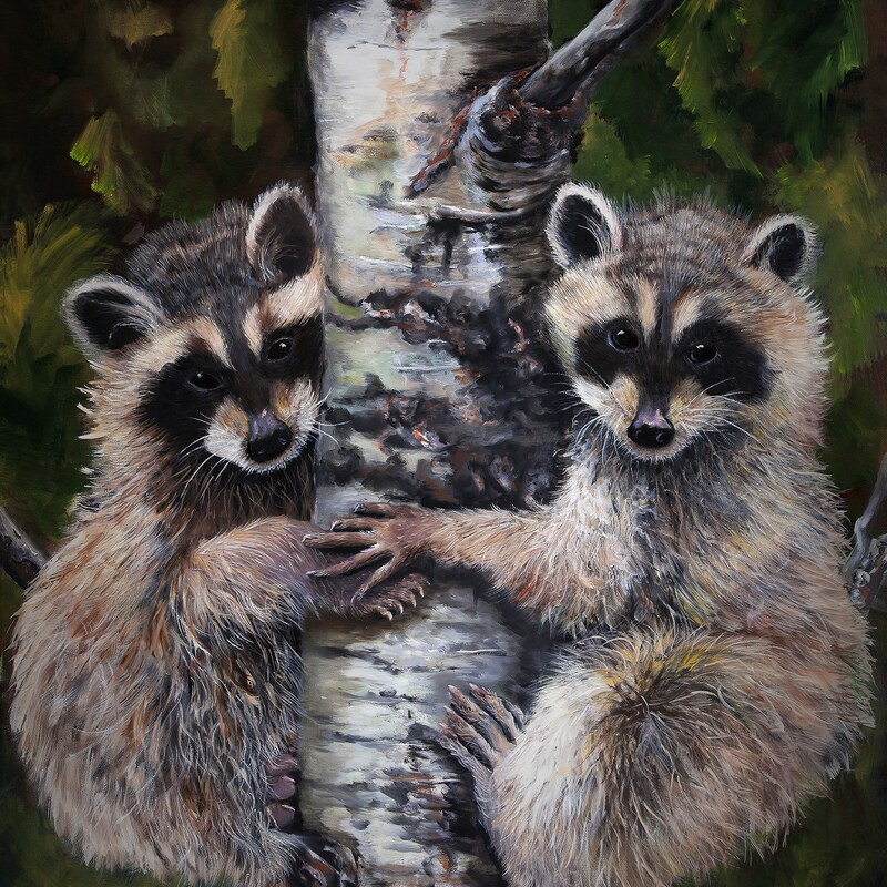 Raccoon Painting - Etsy