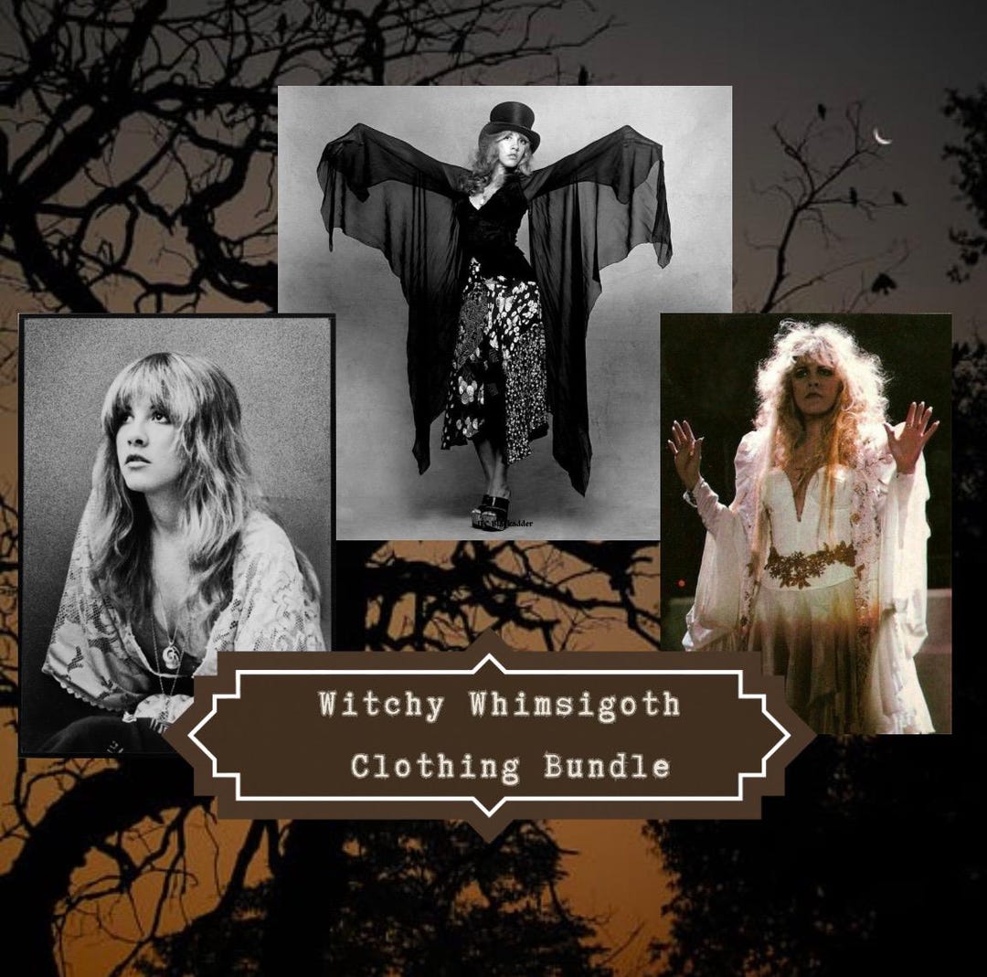 Witchcore Whimsigoth Thrifted Clothing Box or Home Decor Bundle - Etsy