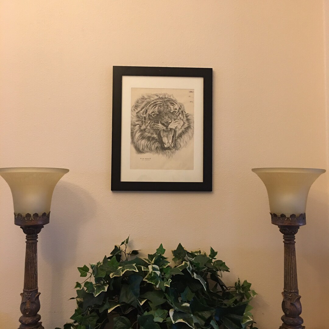 Snarling Tiger Wildlife Art Print Pen & Ink Drawing by " Jan Jellins ...