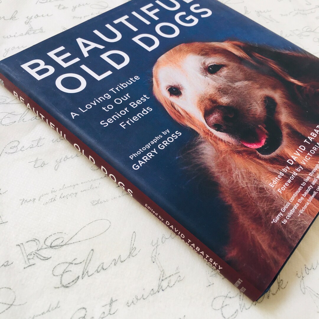Beautiful Old Dogs-a Loving Tribute to Our Senior Best Friends ...