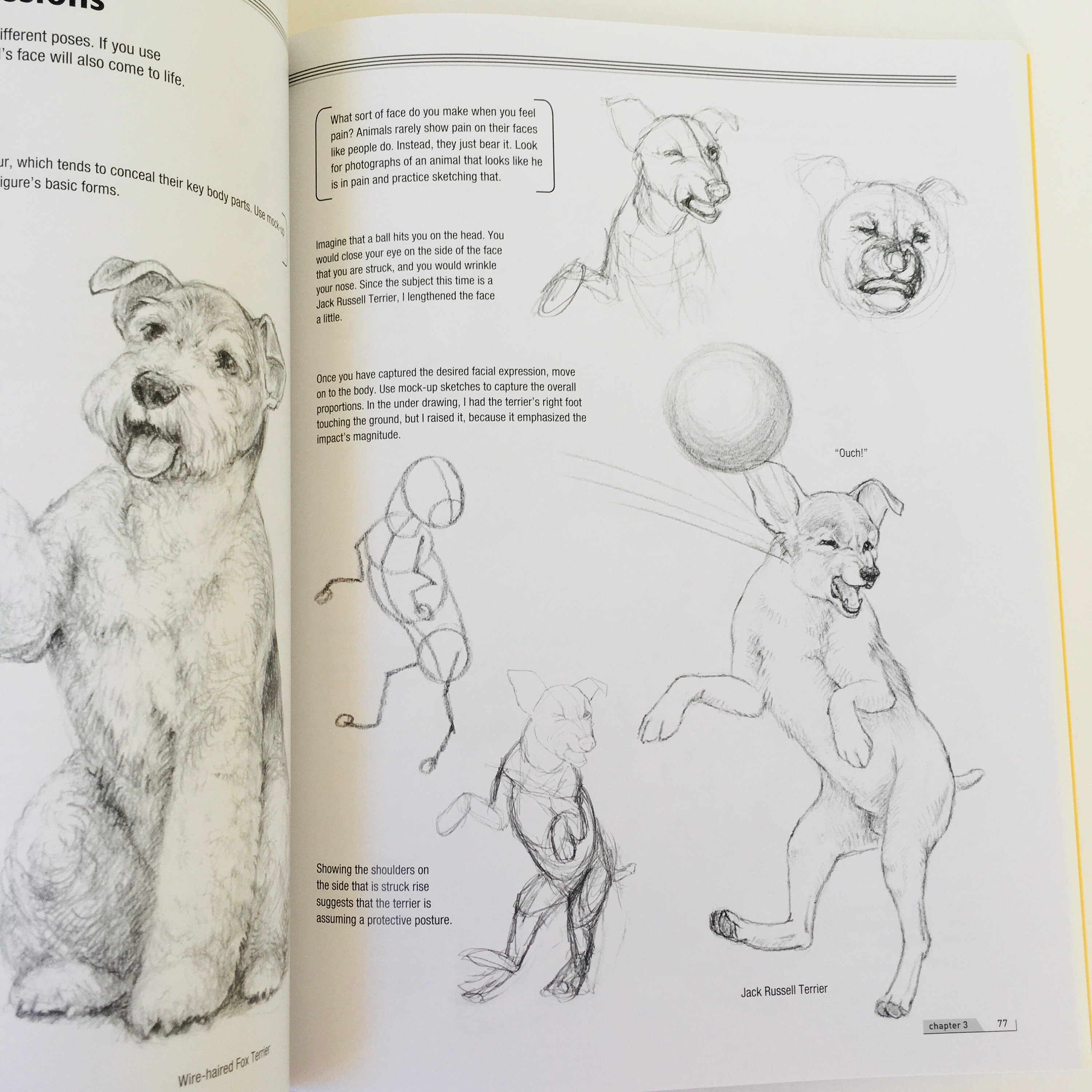 How to Draw Animals in Simple Steps - Poll, Pinder, Susie, Hodge, Eva ...