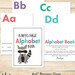 4x6 Alphabet Game Baby Shower Game Raccoon - Etsy