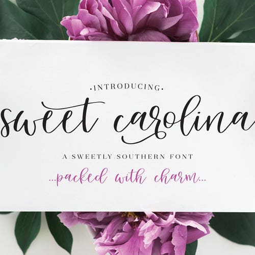 Sweet Carolina Script Font Handwritten Font Handlettered - Etsy