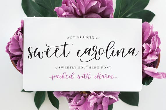 Sweet Carolina Script Font Handwritten Font Handlettered | Etsy