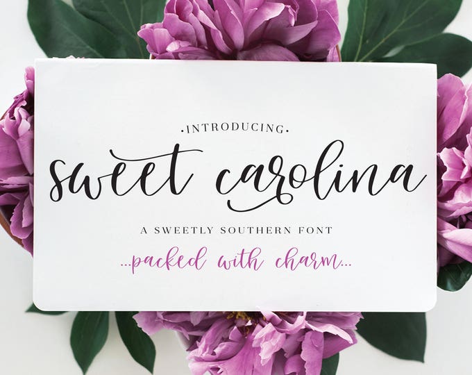 Sweet Carolina Script Font, Handwritten Font, Handlettered Font ...