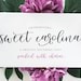 Sweet Carolina Script Font Handwritten Font Handlettered | Etsy