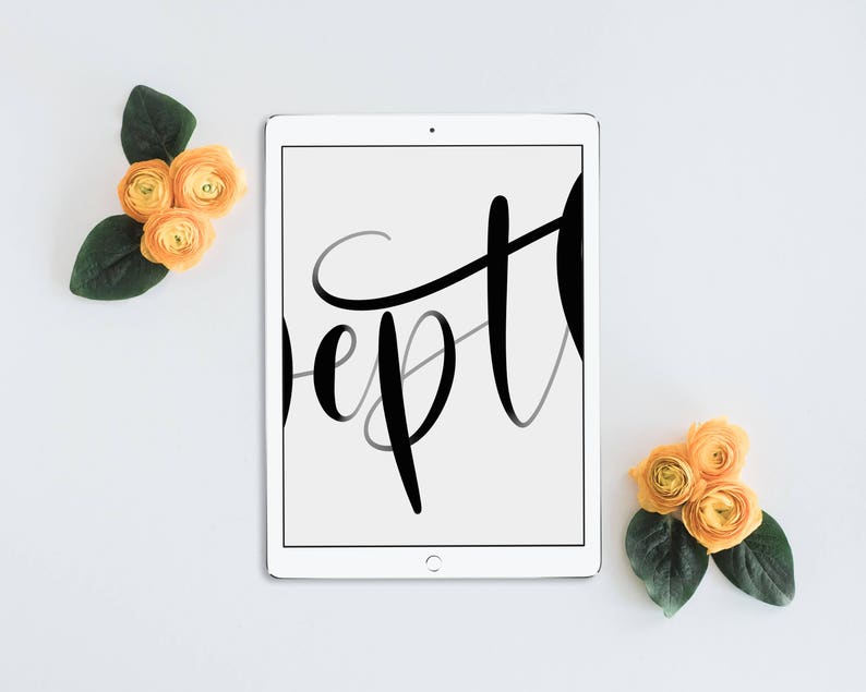 Ipad Lettering Procreate App Depth 3D Effect Brush // Hewitt | Etsy