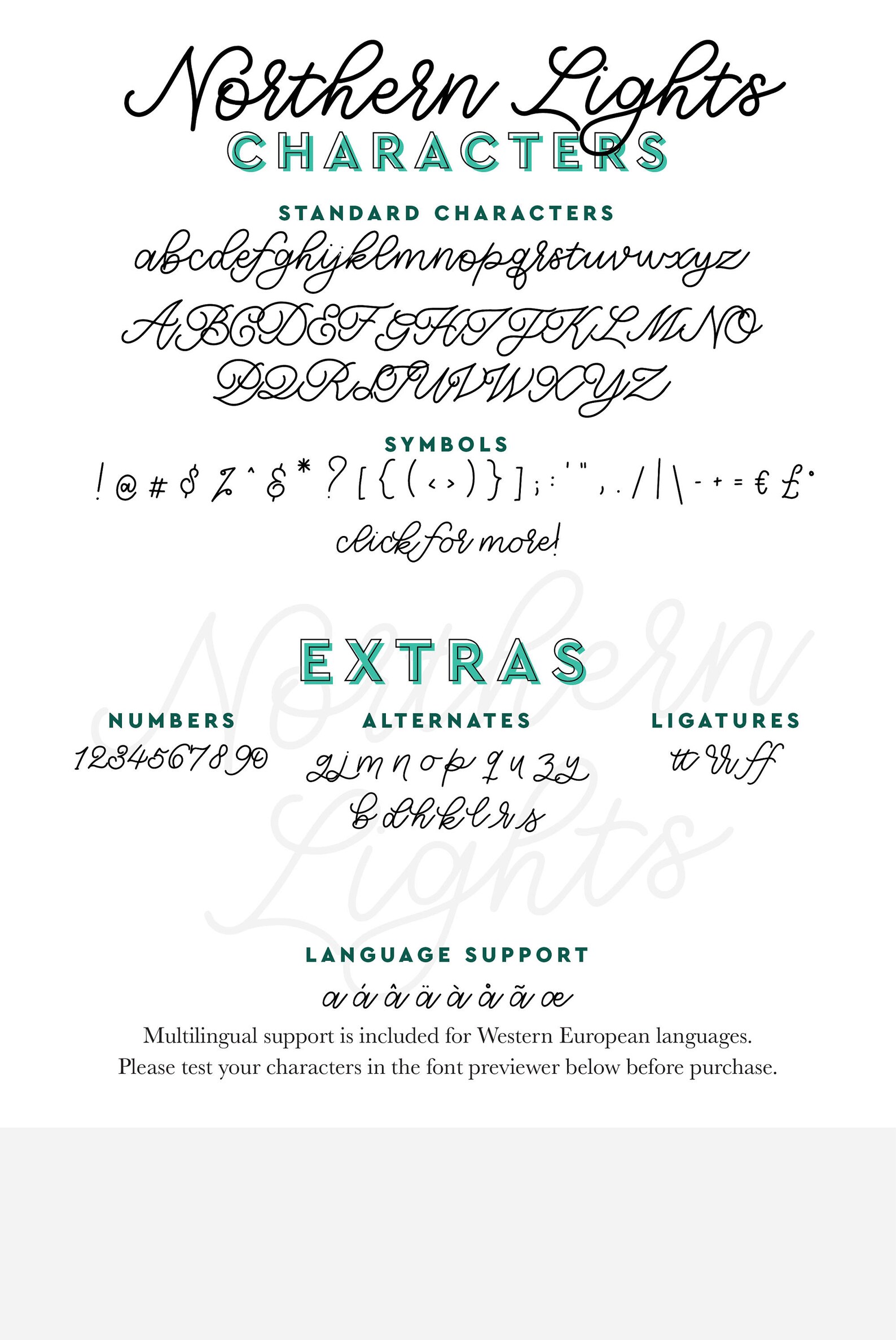 Northern Lights Script Font handwritten font handlettered | Etsy