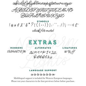 Northern Lights Script Font Handwritten Font Handlettered - Etsy