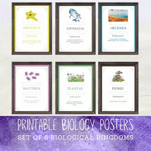 Printable Biology Posters the 6 Kingdoms Science Posters | Classroom ...