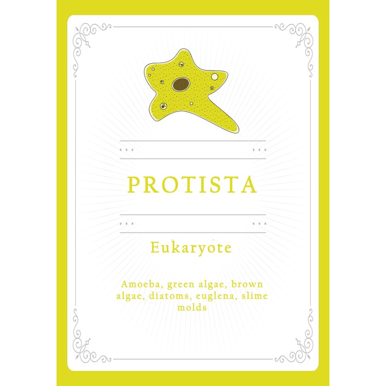 Printable Biology Posters the 6 Kingdoms Science Posters - Etsy