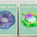 Printable Animal and Plant Cell Posters - Etsy
