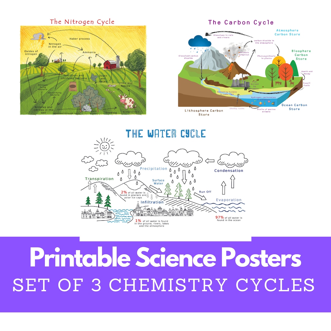 Printable Science Poster Set | Chemistry Cycles, Carbon Cycle, Nitrogen ...
