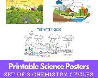 The Water Cycle Diagram: Printable Classroom Poster, Earth Science ...