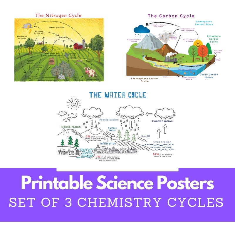 Water Cycle Poster - Etsy