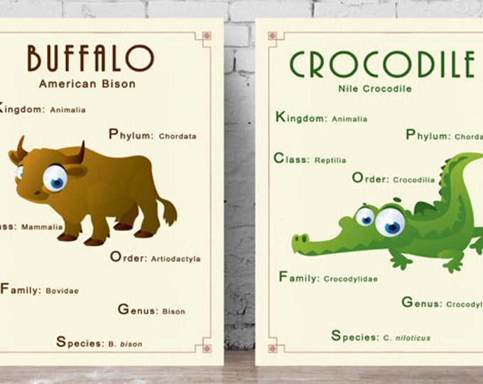 Printable Biology Posters Animal Classification - Etsy